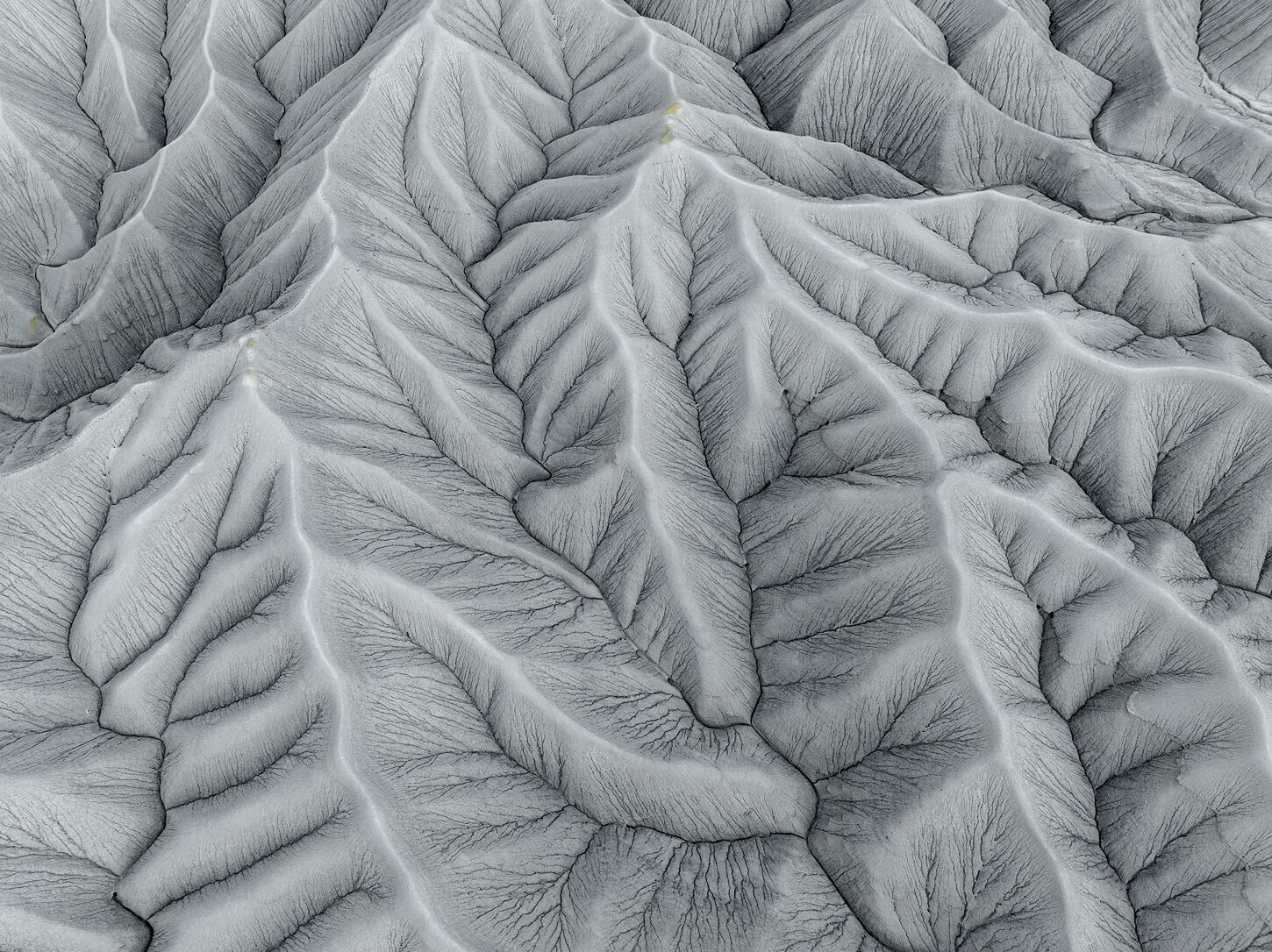Tangled Ridges | Utah's Badlands