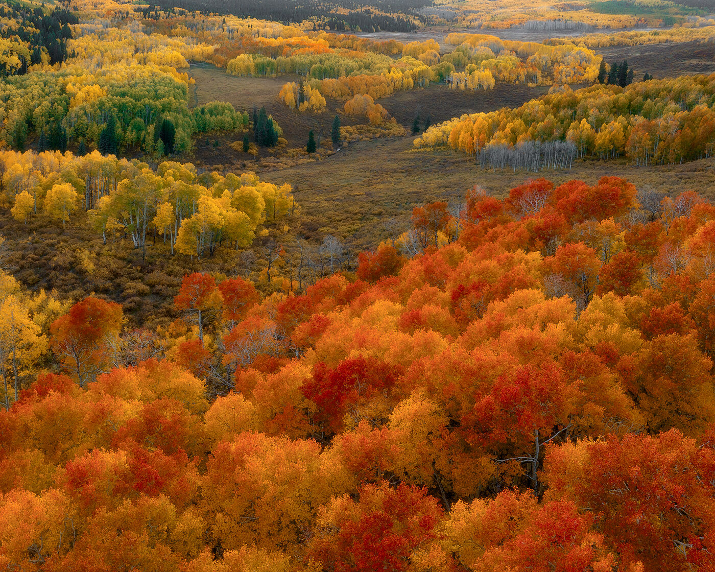 Bonfire | Gunnison National Forest, Co