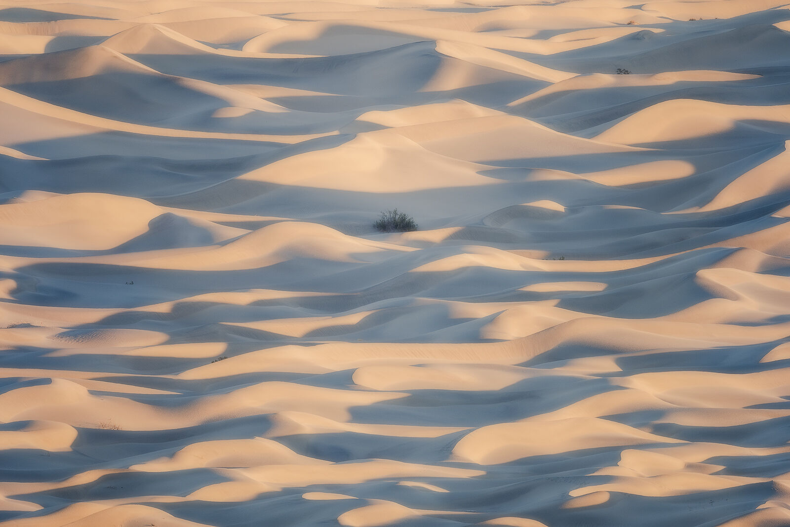 Undulating | Death Valley National Park